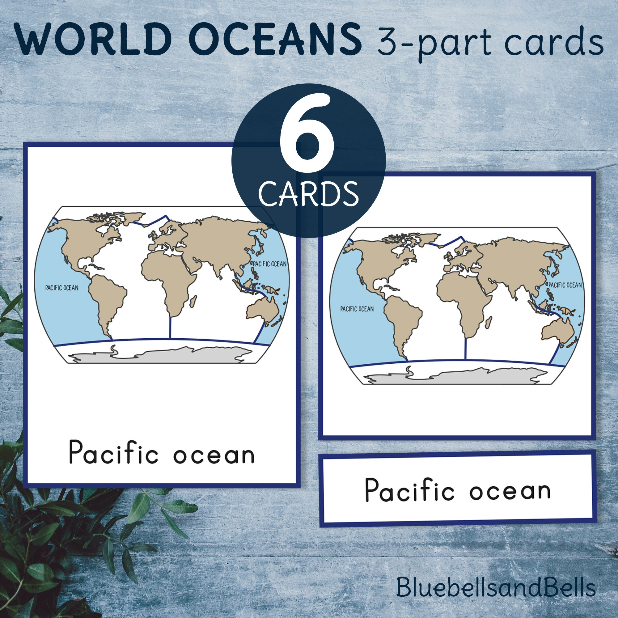 Oceans of the World 3 Part Cards. Montessori Geography - Etsy