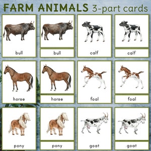 Farm Animal Montessori Printable 3 Part Cards. Preschool and ...