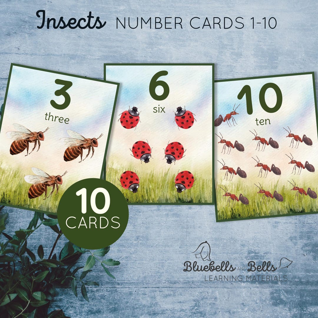Insect Preschool Printable Number 1-10 Flashcards. Toddler Watercolor ...