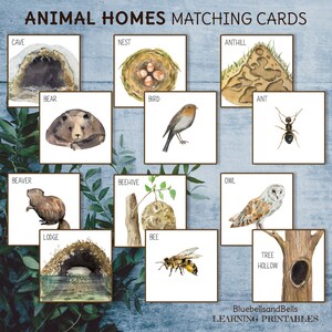 Animal Homes Cards and Matching Activity. - Etsy