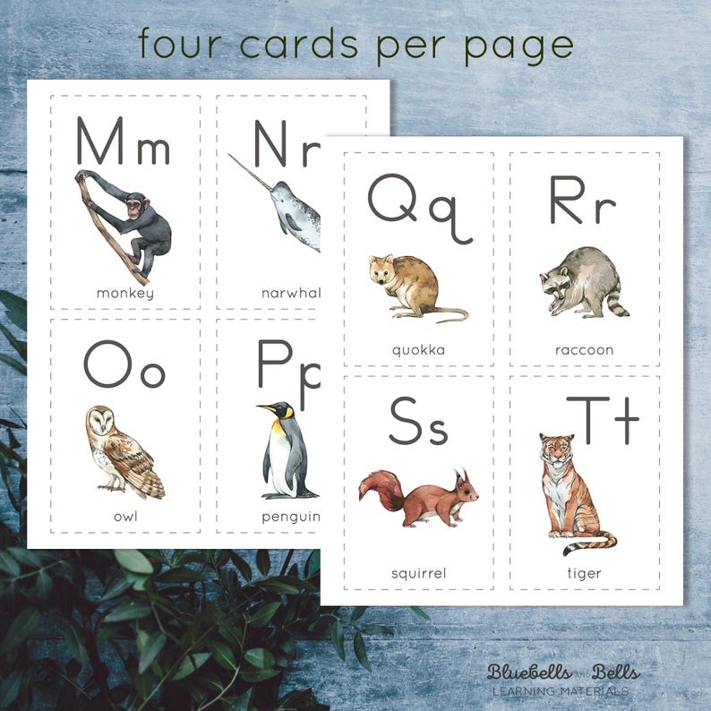 Animal Alphabet Cards. Watercolor Letter Flash Cards. Classroom ABC ...