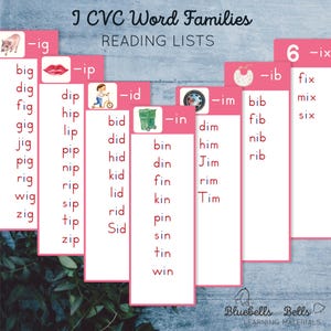 CVC Word Families Reading Lists. Montessori Pink Series Printable. - Etsy