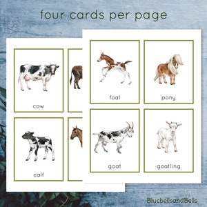 Farm Animals Flashcards. Toddler Watercolor Digital Cards. Preschool ...