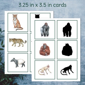 Rainforest Animals Shadow Matching Cards. Montessori Animal Printable ...