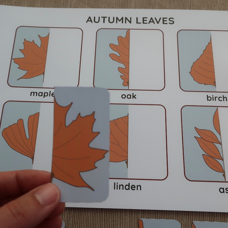 Montessori Puzzle Fall Leaves. Toddler Matching Halves Symmetry ...