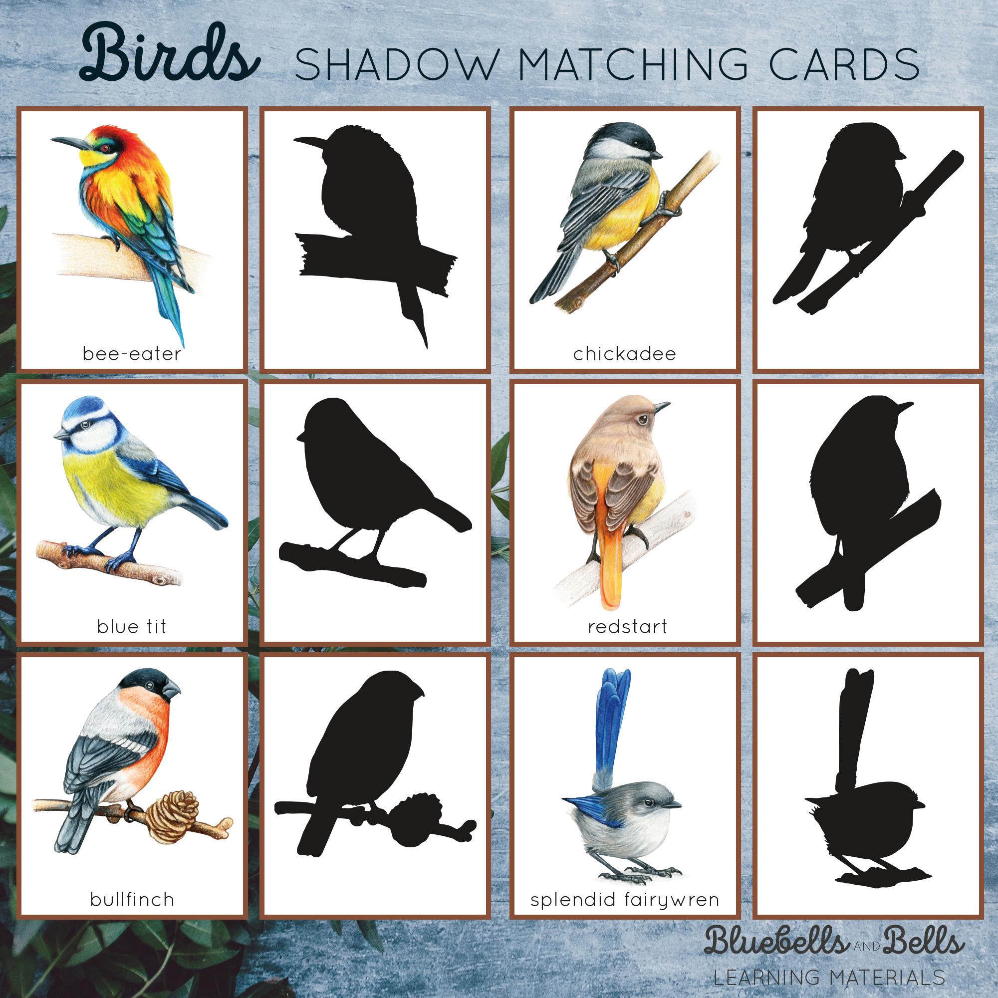 Bird Shadow Matching Flash Cards. Montessori Spring Printable. Toddler ...