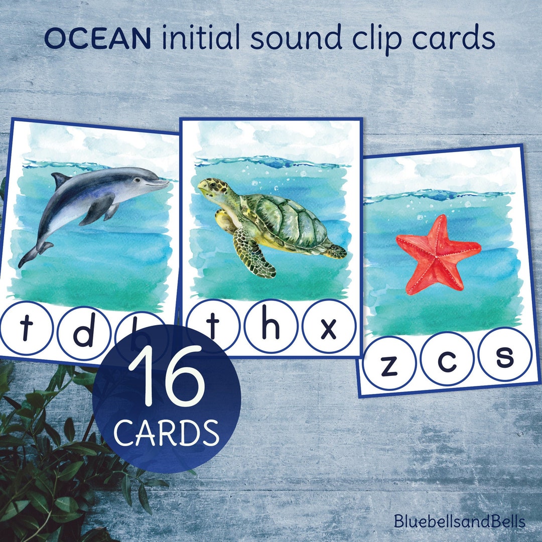 Ocean Animal Printable Phonics Clip Cards. Beginning Sound Activity ...