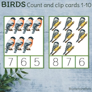 Birds Count and Clip Cards 1-10. Spring Montessori Printable. Preschool ...