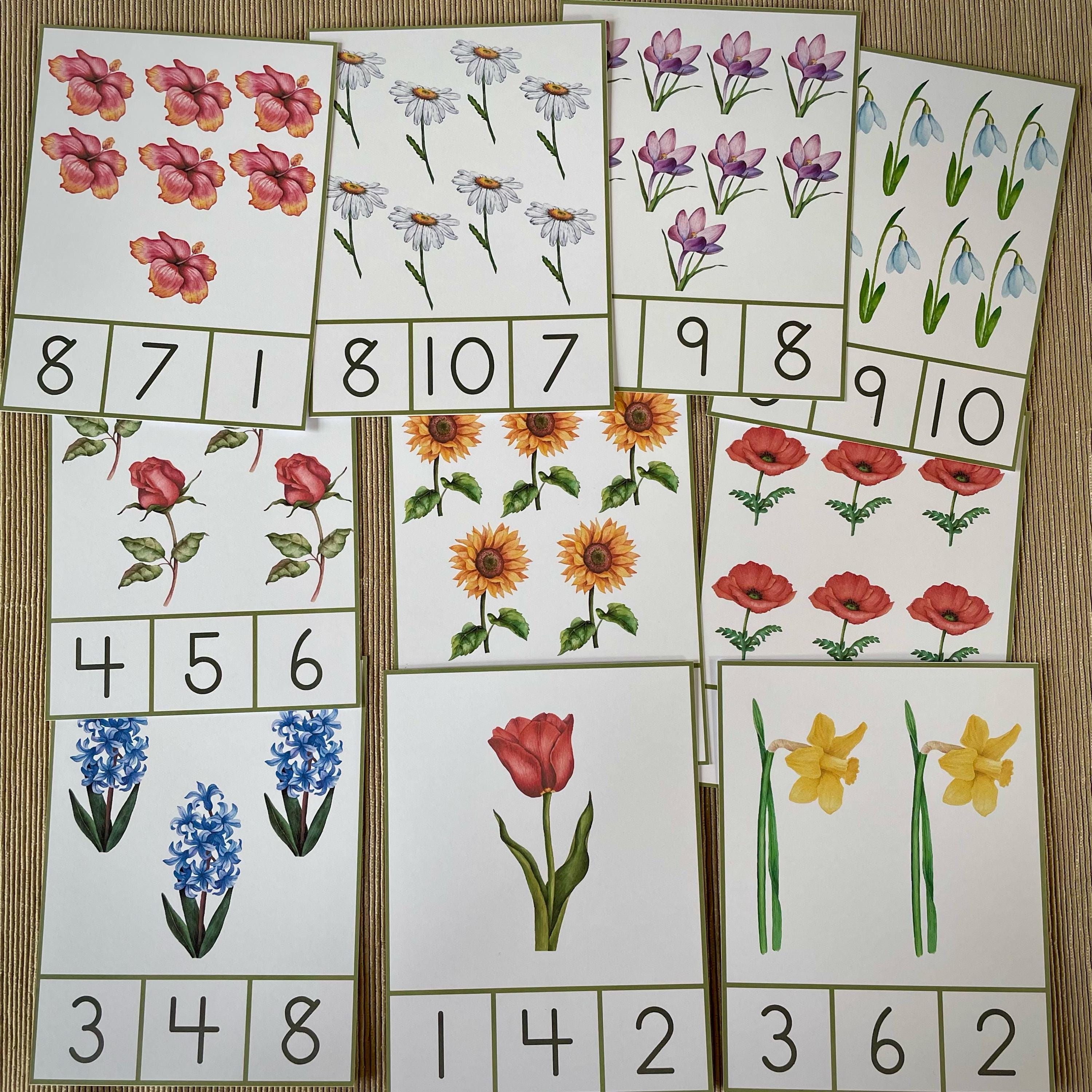 Flower Preschool Printable Count and Clip Cards 1-10. Montessori Spring ...