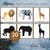 Africa Animal Printable Count and Clip Cards 1-10. Preschool Counting ...