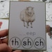 Farm Phonics Clip Cards. Montessori Printable Beginning Sound Activity ...