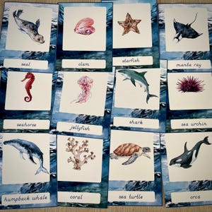 Printable Ocean Animals Flashcards for Toddlers and Preschoolers. - Etsy