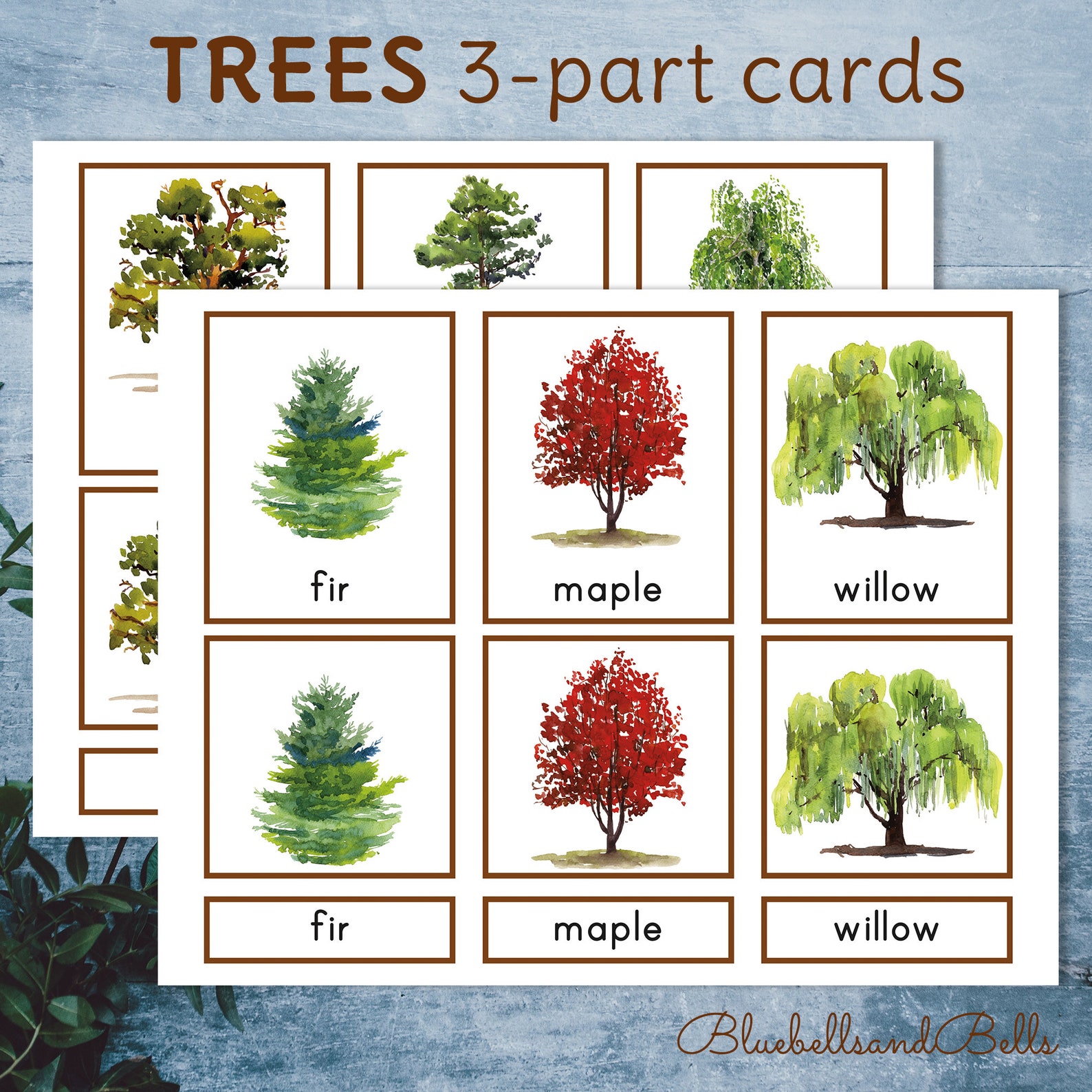 Trees Montessori 3 Part Cards. Tree Identification Cards. - Etsy