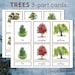 Trees Montessori 3 Part Cards. Tree Identification Cards. Vocabulary ...