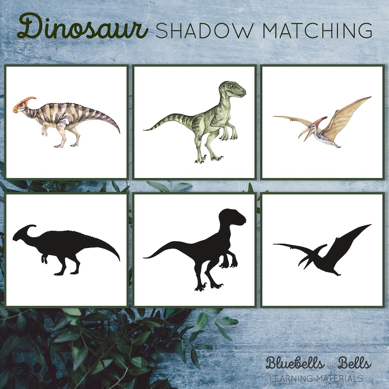 Montessori Printable Dinosaur Shadow Matching Cards. Toddler Matching ...