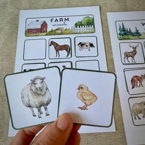 Animal Sorting Activity Farm and Wild. Montessori Toddler and Preschool ...