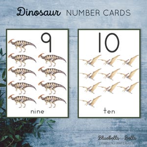 Dinosaur Counting Cards. Printable Dino Number Flash Cards. Preschool ...