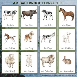 Bauernhoftiere Bildkarten. Lernkarten Deutsche Sprache Für Kleinkinder ...