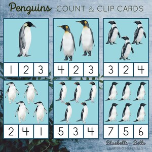 Penguin Preschool Printable Count and Clip Cards 1-12. Winter Math ...