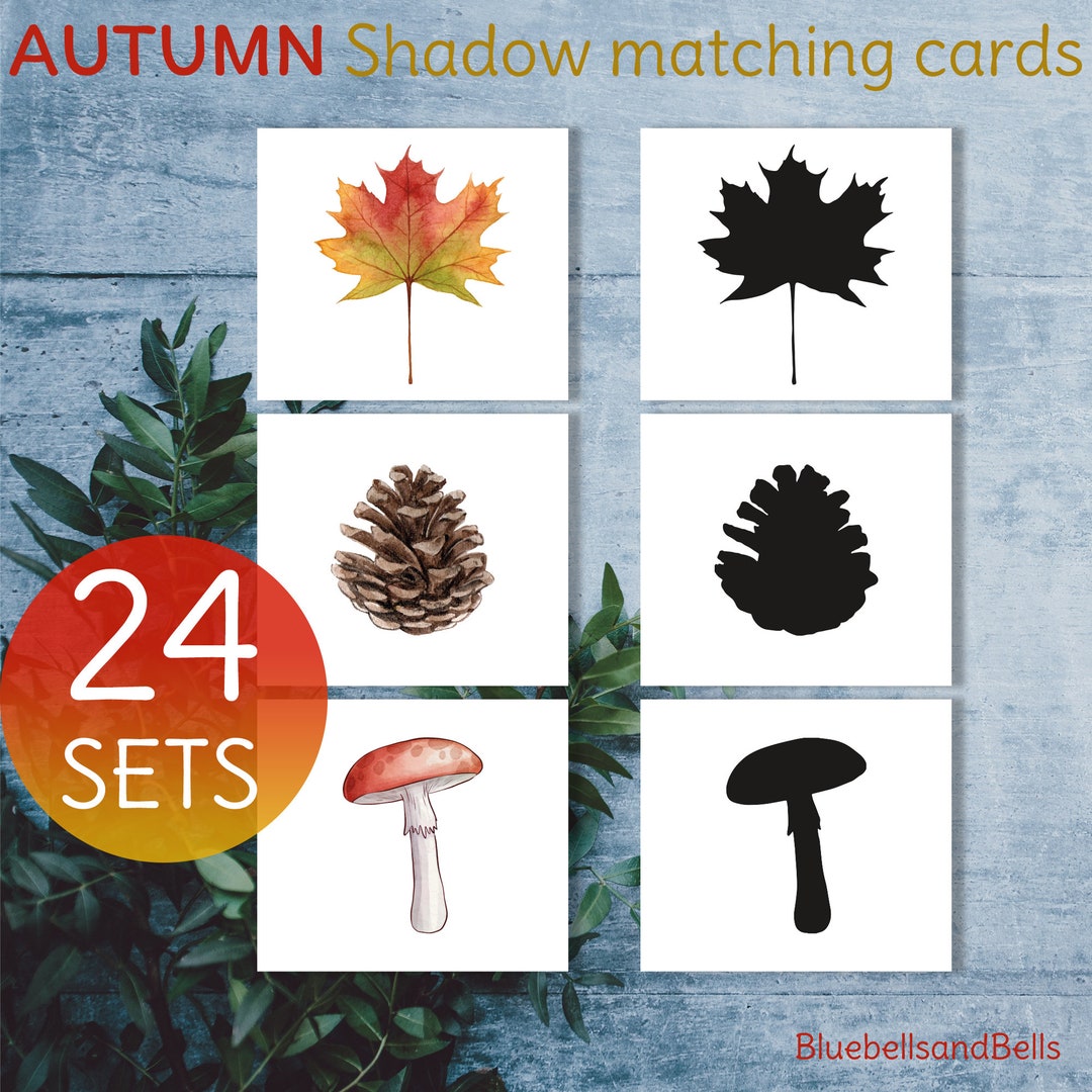 Autumn Shadow Matching Montessori Printable. Fall Nature Activity ...