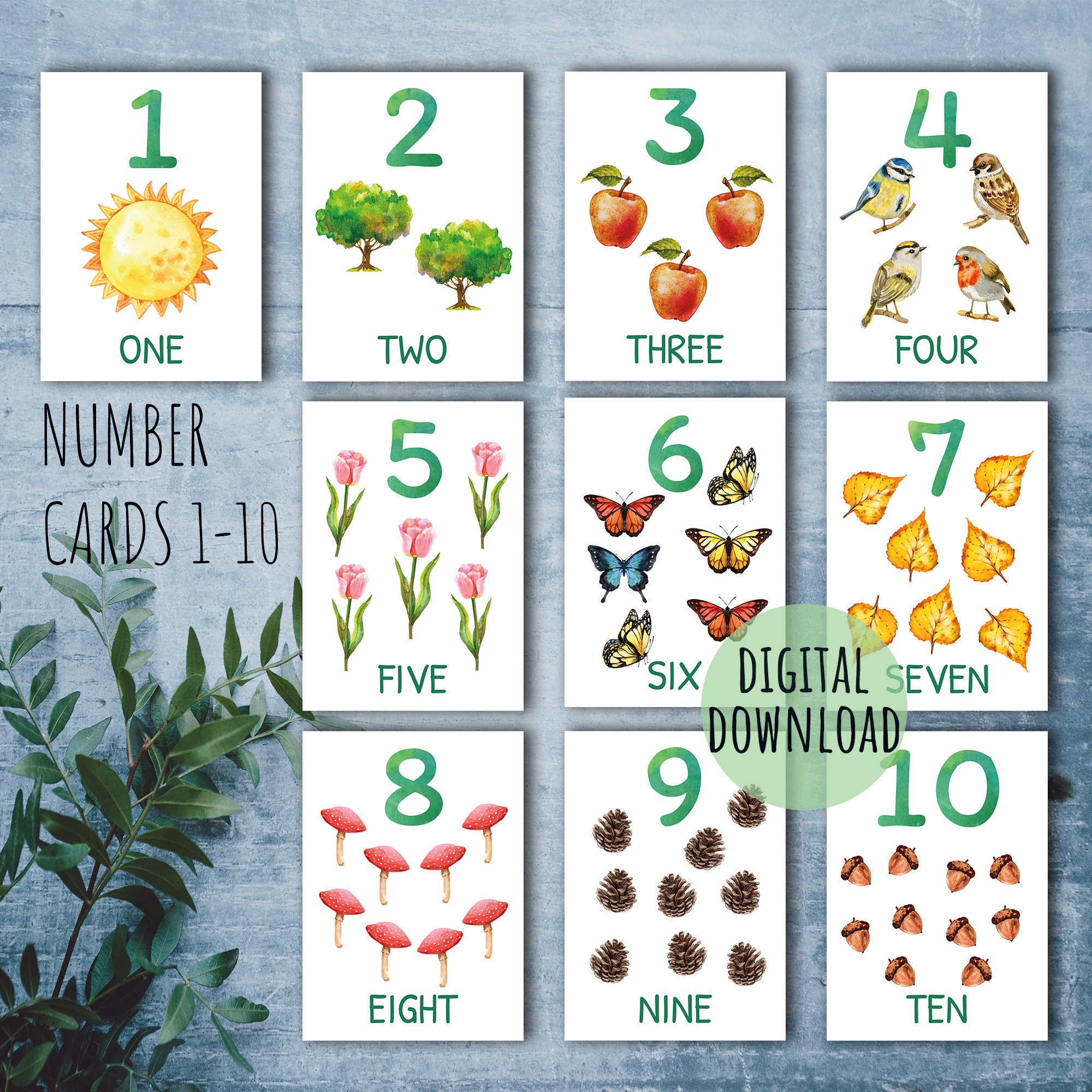 Nature number cards 1-10. Counting cards toddler. Printable | Etsy