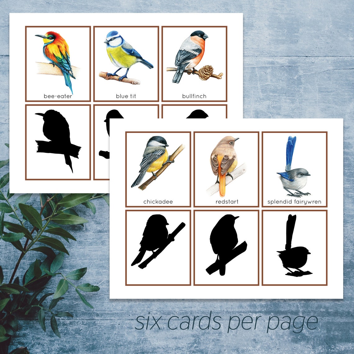Bird Shadow Matching Flash Cards. Montessori Spring Printable. | Etsy