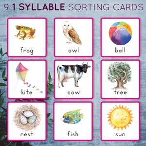 Syllable Sorting Printable Activity. Montessori Preschool and ...