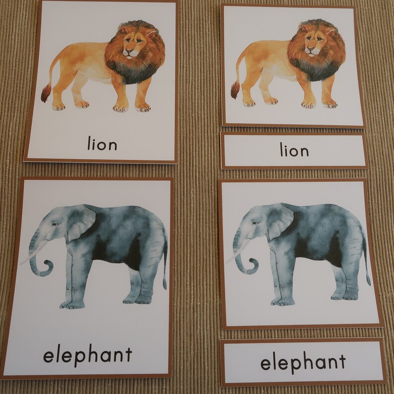 Africa Animals Montessori 3 Part Cards. Preschool and - Etsy
