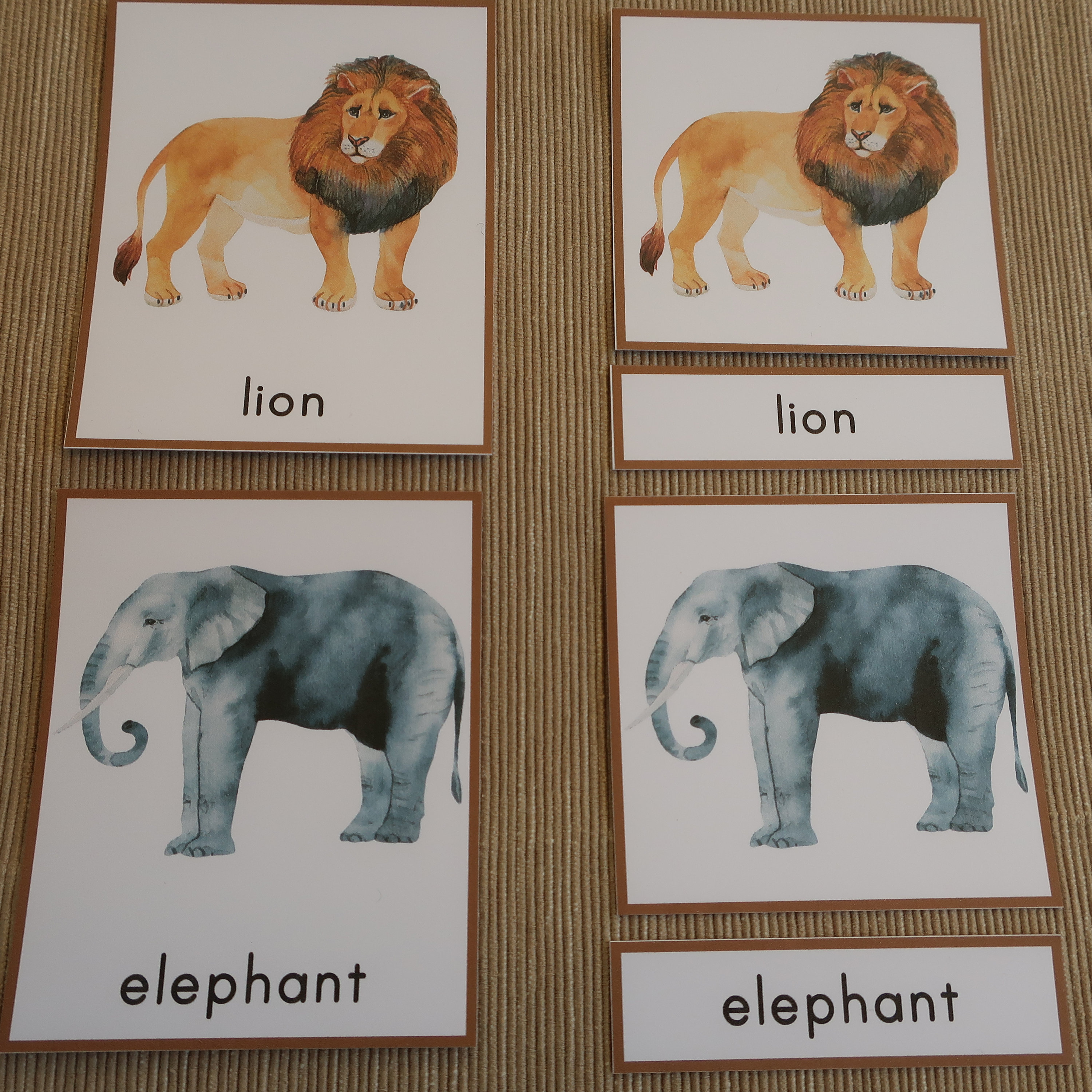 Africa Animals Montessori 3 Part Cards. Preschool and | Etsy