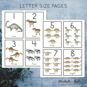 Dinosaur Counting Cards. Printable Dino Number Flash Cards. Preschool ...