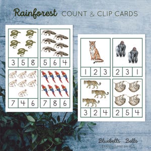Rainforest Animals Count and Clip Cards 1-10. Preschool Math Printable ...