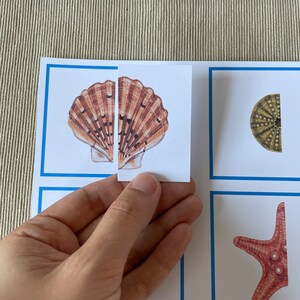 Toddler Summer Puzzle Seashells Halves Matching. Montessori Busy Book ...