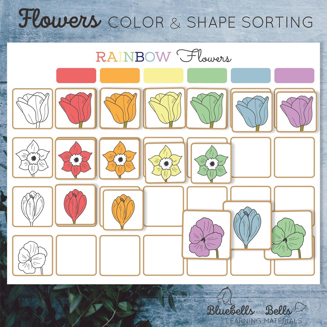 Color Sorting Flower Printable. Montessori Matching Activity. - Etsy