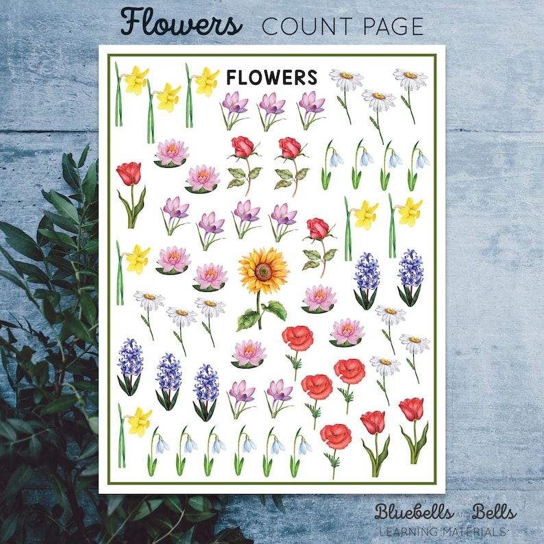 Graphing Printable Flowers. Preschool and Kindergarten Math Activity ...