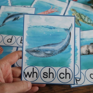Ocean Animal Printable Phonics Clip Cards. Beginning Sound Activity ...