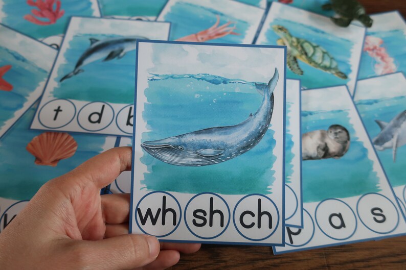 Ocean Animal Printable Phonics Clip Cards. Beginning Sound | Etsy