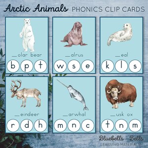 Arctic Animals Preschool Printable Beginning Sound Clip Cards. - Etsy
