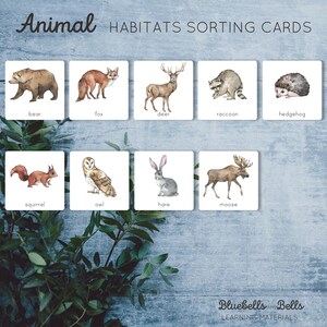 Animal Habitats Sorting Activity and Chart. Montessori Preschool and ...