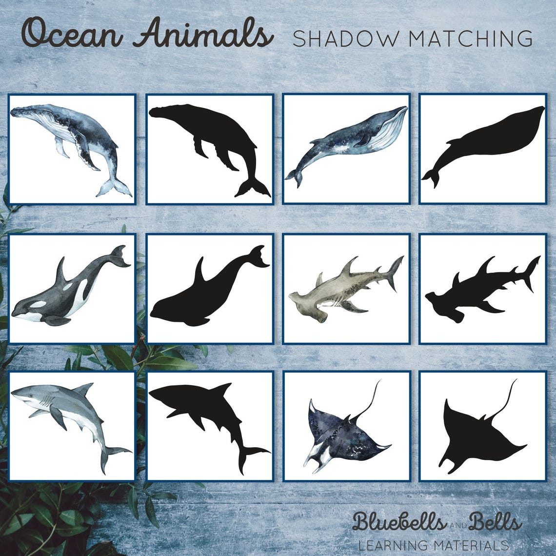 Ocean Animal Shadow Matching Cards. Montessori Summer Preschool ...