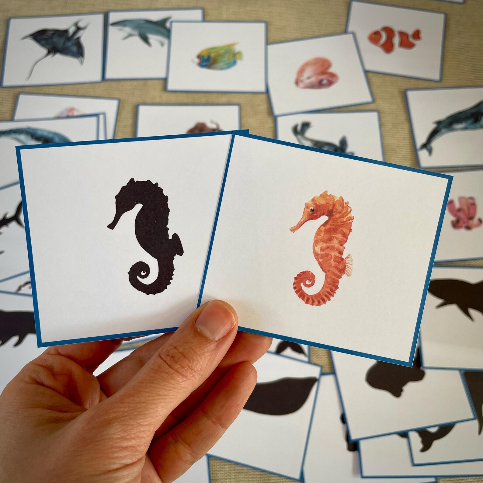 Ocean Animal Shadow Matching Cards. Montessori Summer Preschool ...