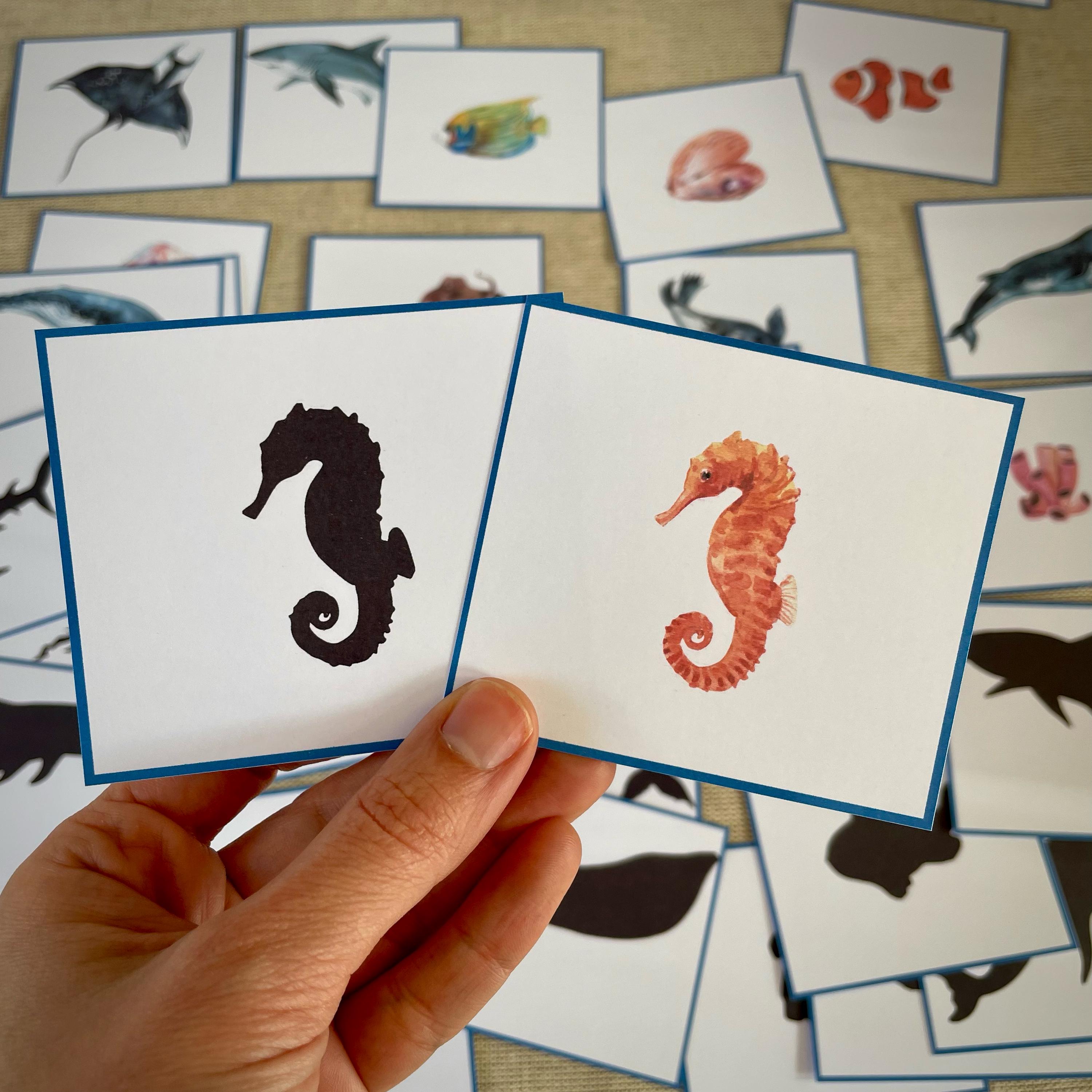 Ocean Animal Shadow Matching Cards. Montessori Summer Preschool ...