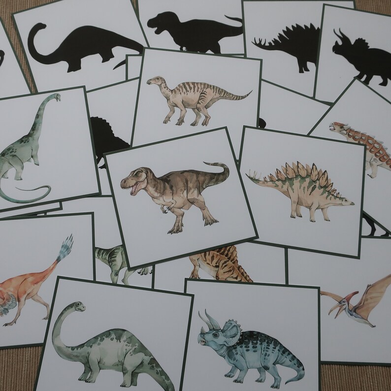 Montessori Printable Dinosaur Shadow Matching Cards. Toddler - Etsy