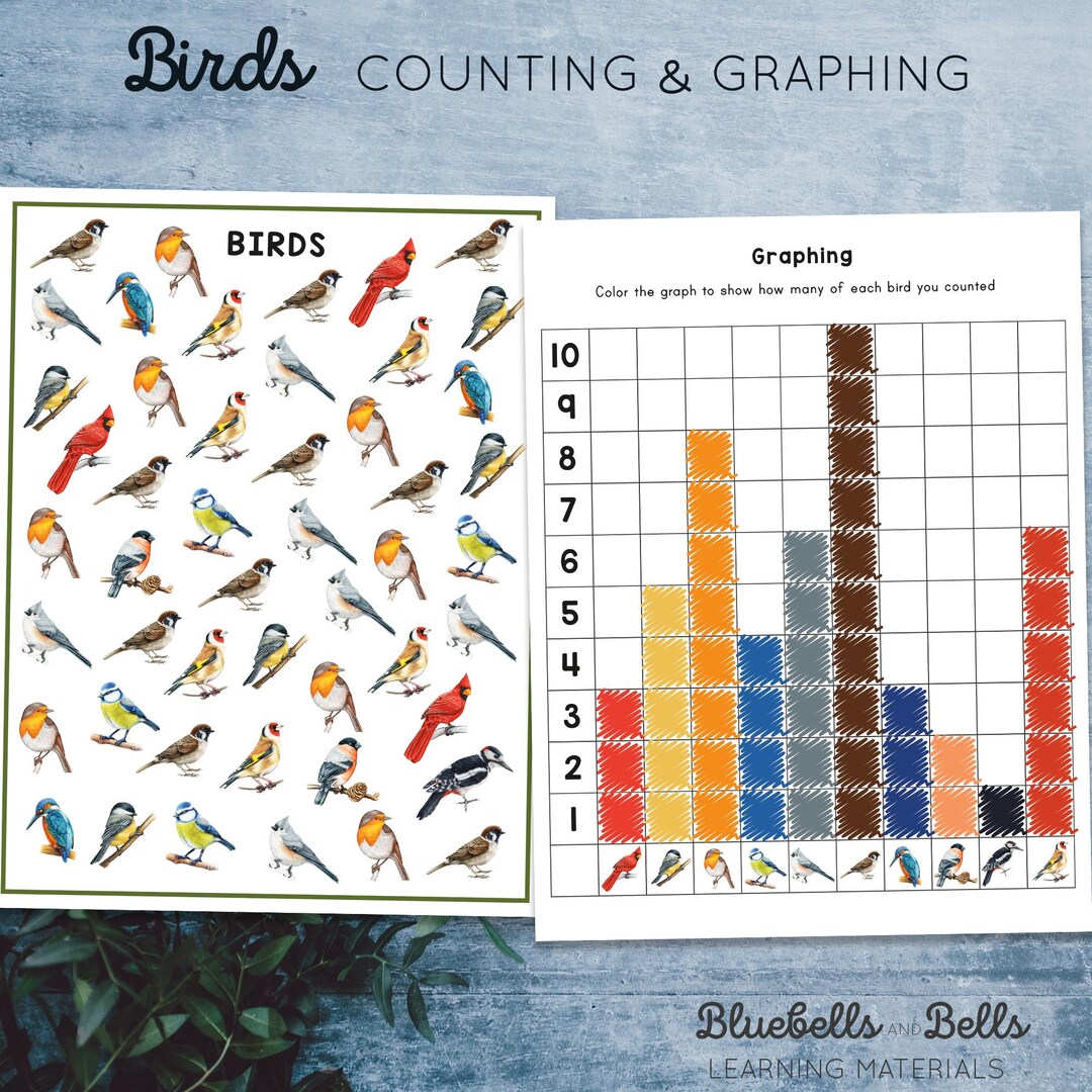 Birds Preschool Graphing. Spring Montessori Math Printable for ...