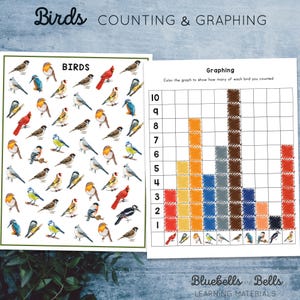 Birds Preschool Graphing. Spring Montessori Math Printable for ...