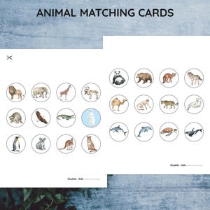 Animals of the Continents Shadow Matching Activity. Montessori ...