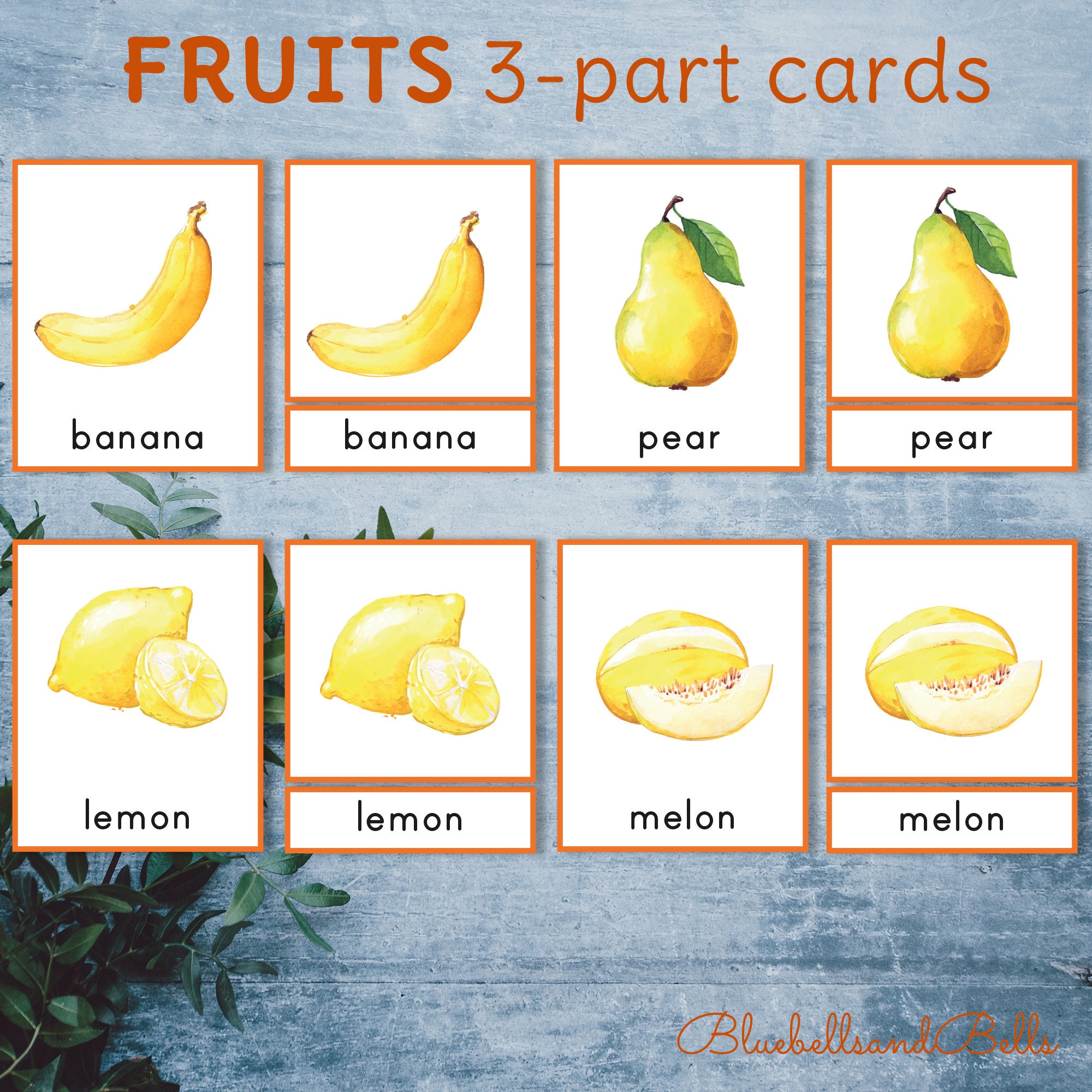 Fruits Montessori Three Part Cards. Vocabulary Activity for - Etsy
