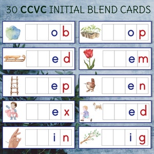 Montessori Printable Moveable Alphabet. CCVC Word Phonics Beginning ...