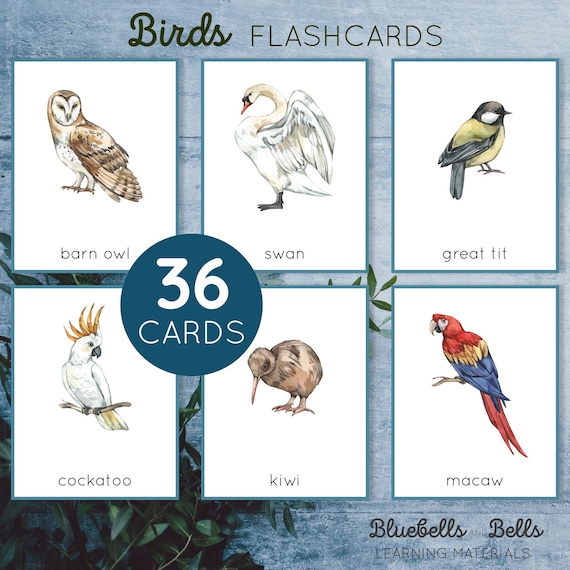 Invitaciones Imprimibles De Aves Imágenes De Invitacion Pajaro