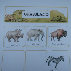 Animal Habitats Sorting Activity and Chart. Montessori Preschool and ...