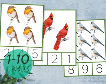 Flower Preschool Printable Count and Clip Cards 1-10. | Etsy